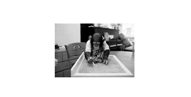 Project Nim film 2011
